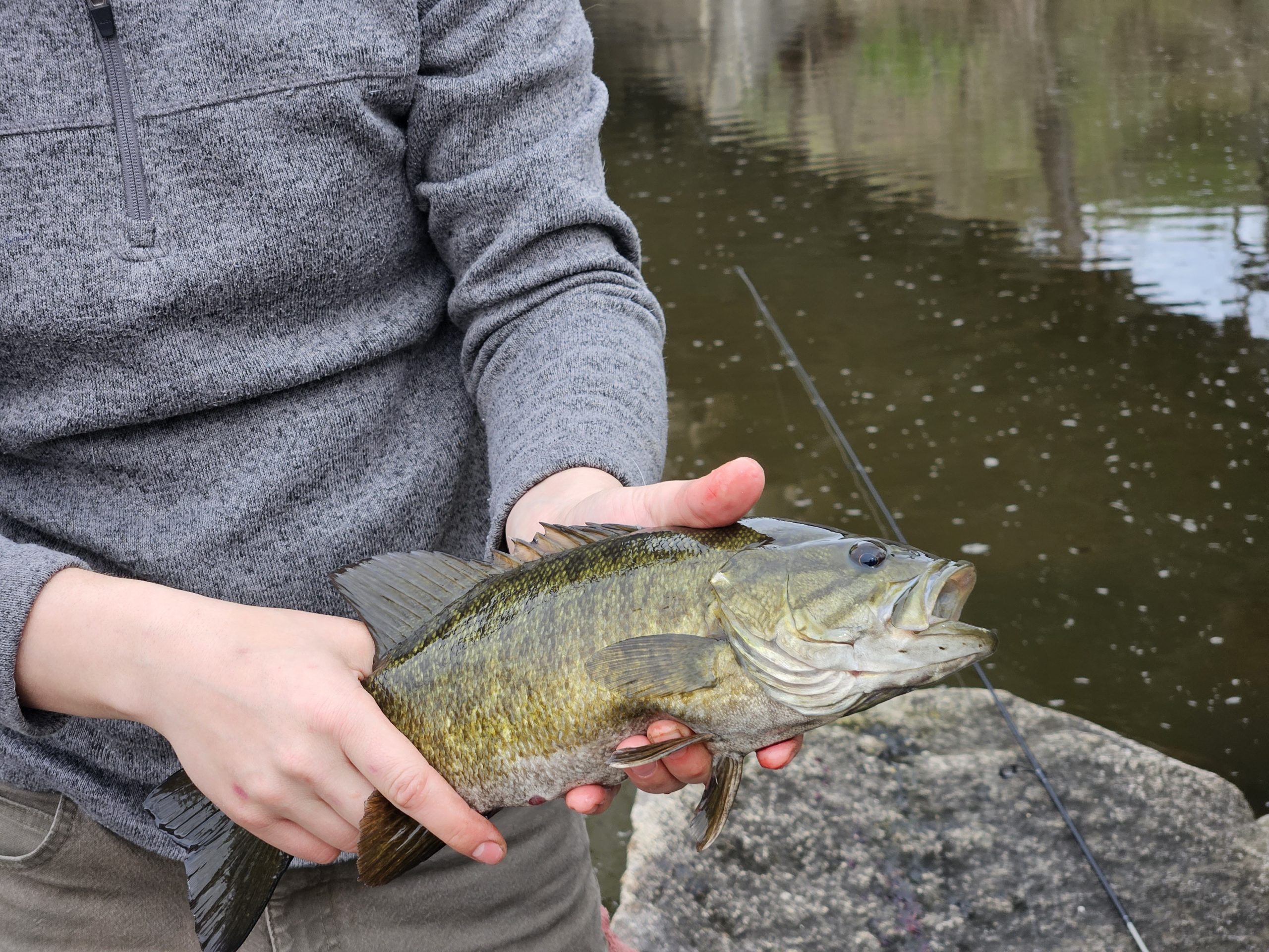 Spring Smallmouth Bass Fishing at Fallasburg Park - Pack & Paddle ...